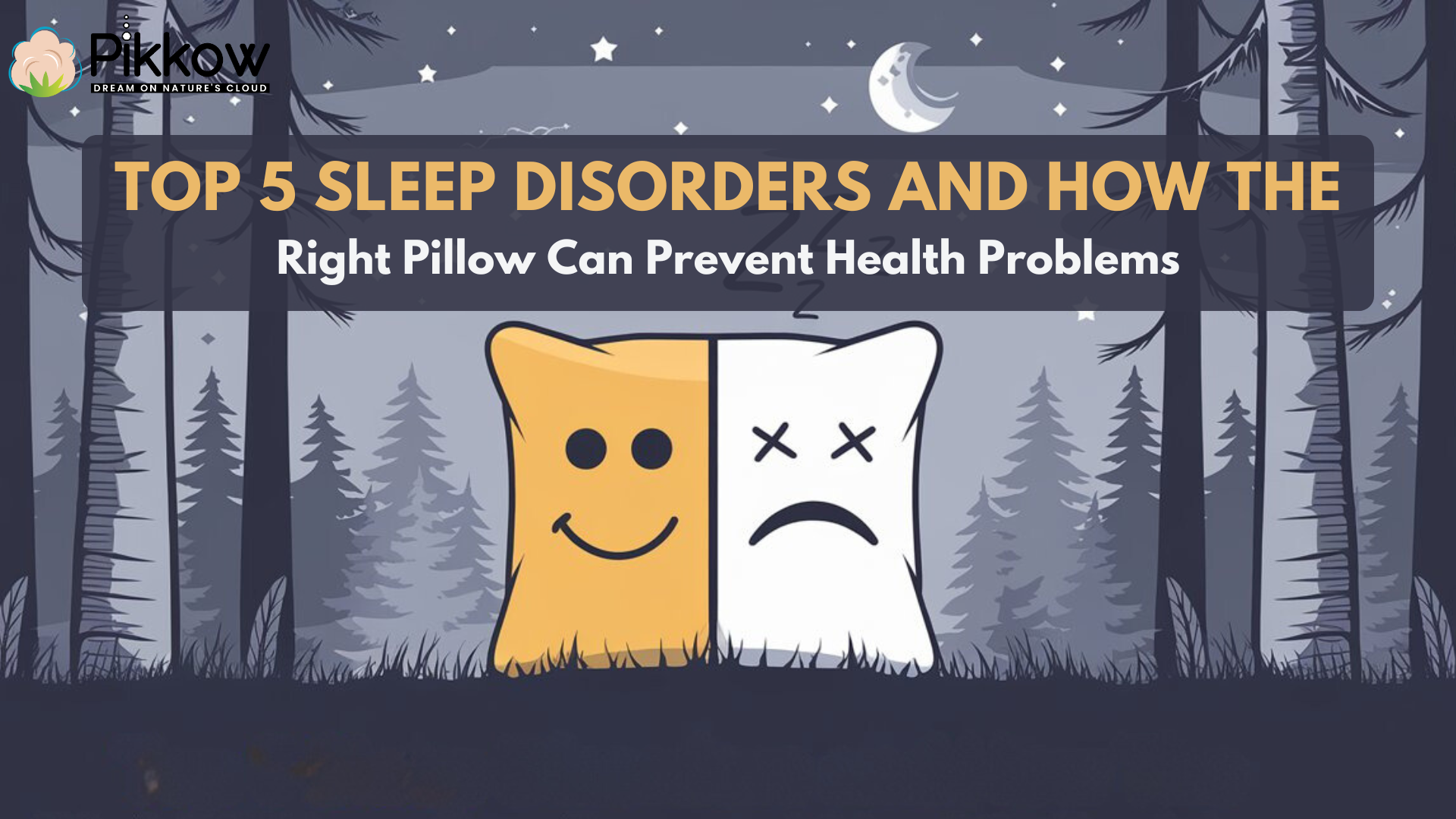 Top 5 Sleep Disorders and How the Right Pillow Can Prevent Health Prob
